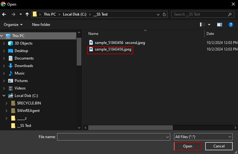Image File Only (no DICOM Image) Smart Submit Upload and Masking Tool – SMART SUBMIT KNOWLEDGEBASE